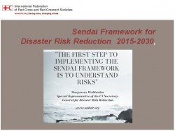 Sendai Framework to Disaster Risk Reduction 2015-2030 | Resilience Library