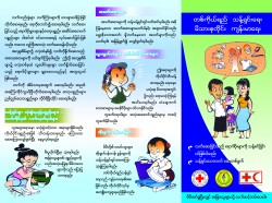 IEC posters on hygiene and health in Burmese | Resilience Library